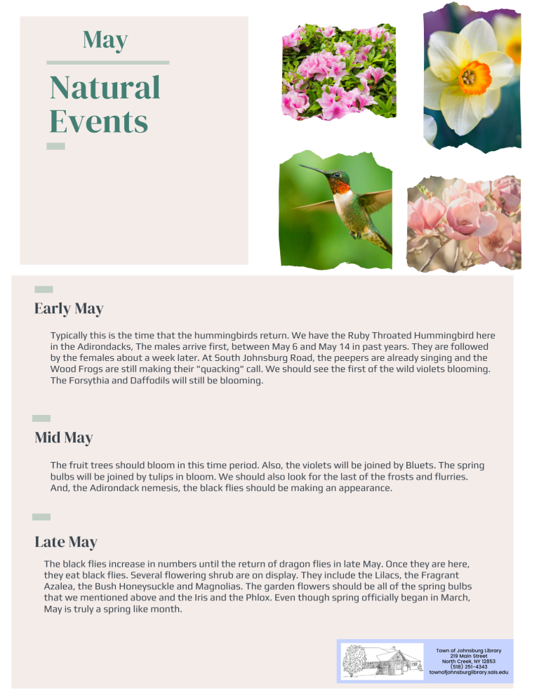 Town of Johnsburg Library